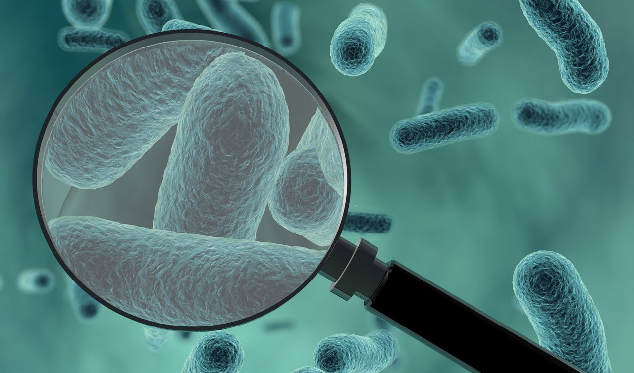 Nationellt samarbete för snabb identifiering av bakterier | Genomic ...